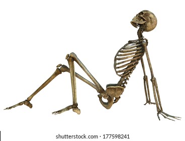7,978 Sitting Skeleton Images, Stock Photos & Vectors | Shutterstock