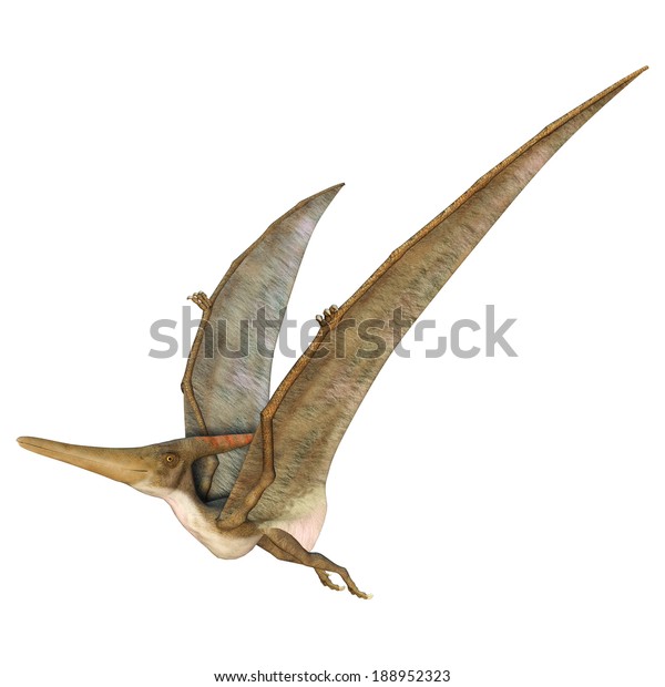 3d Digital Render Prehistoric Flying Reptile Stock Illustration 188952323