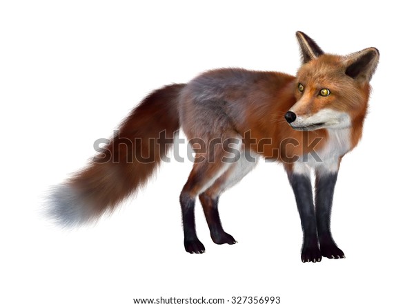3d Digital Render Red Fox Isolated Stock Illustration 327356993 ...
