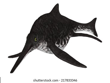 Shonisaurus Dinosaur Fish Isolated White Background: ilustración de ...