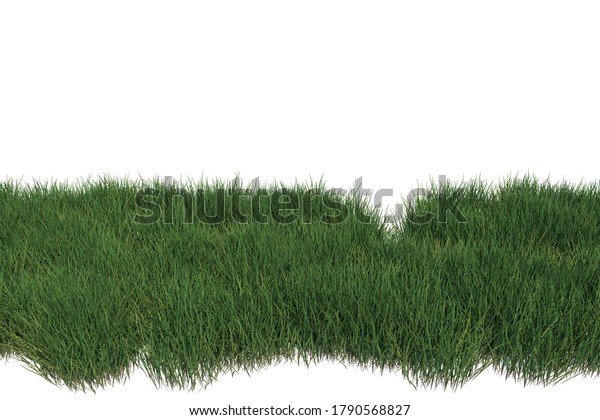3d Grass Render On White Background Stock Illustration 1790568827 ...