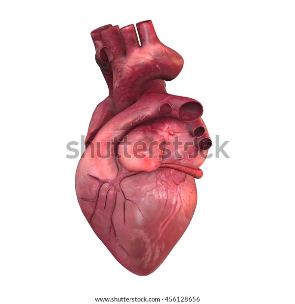 3d Hearts Render Isolated White Backgrounds Stock Illustration 456128656