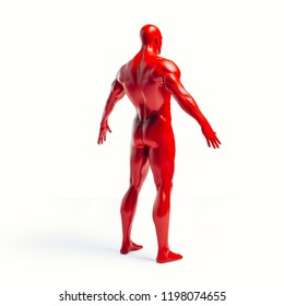 3d Human Body Render Stock Illustration 1198074622