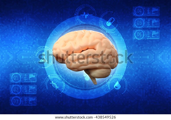 3d Human Brain Stock Illustration 438549526 | Shutterstock