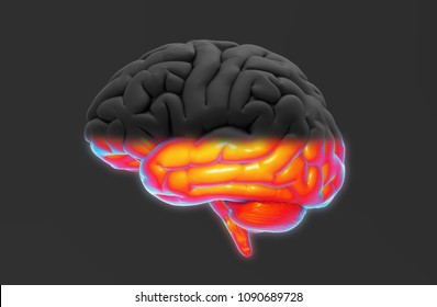 1,086 Brain Half Colored Images, Stock Photos & Vectors | Shutterstock