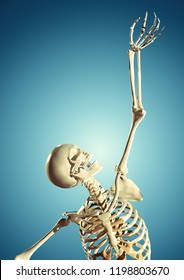 3d Human Skeleton Reaching Through Hands Stock Illustration 1198803670 ...