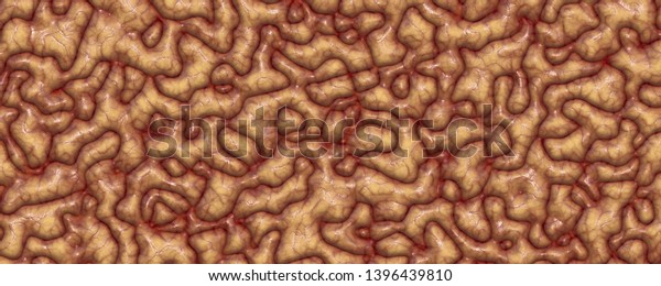 3d Illustration Brain Texture Background Stock Illustration 1396439810 ...