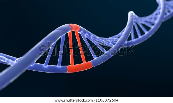 3d Illustration Dna Red Segment Stock Illustration 1108372604 ...