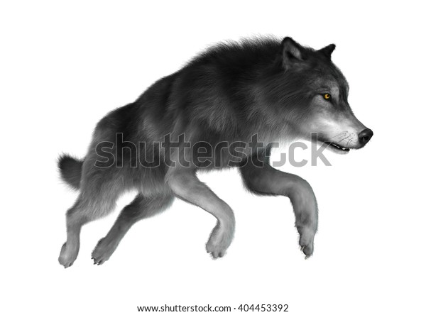 3d Illustration Gray Wolf Jumping Isolated Stock Illustration 404453392