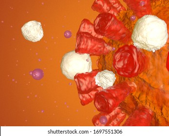 3d Illustration Immune System Attacking White Stock Illustration ...