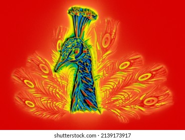 727 Front view peacock Images, Stock Photos & Vectors | Shutterstock