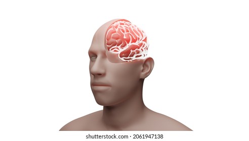 3d Illustration Render Human Brain Burning Stock Illustration ...