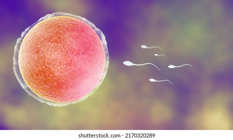 2,719 Gamete Images, Stock Photos & Vectors | Shutterstock