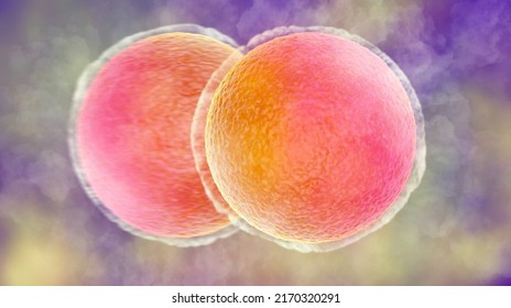 2,802 Gamete Images, Stock Photos & Vectors | Shutterstock