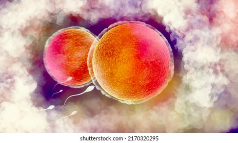 2,719 Gamete Images, Stock Photos & Vectors | Shutterstock
