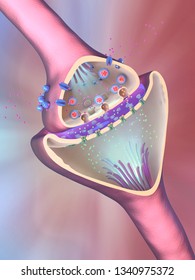 3d Illustration Scientific Function Synapse Neuronal Stock Illustration ...