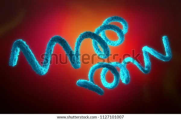 3d Illustration Syphilis Pathogen Stock Illustration 1127101007 ...