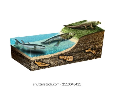 7,448 Evolution of fish Images, Stock Photos & Vectors | Shutterstock