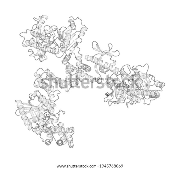 3d Line Drawing Biological Molecule Snapshot Stock Illustration ...