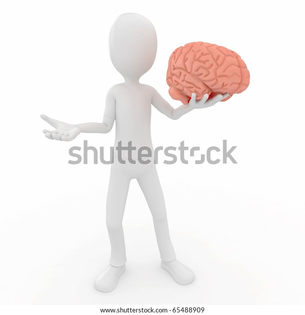 3d Man Brain Model Isolated On Stock Illustration 65488909 | Shutterstock