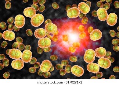 918 Meningococcal Disease Images, Stock Photos & Vectors | Shutterstock