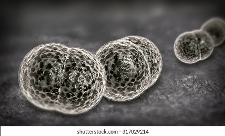 918 Meningococcal Disease Images, Stock Photos & Vectors | Shutterstock