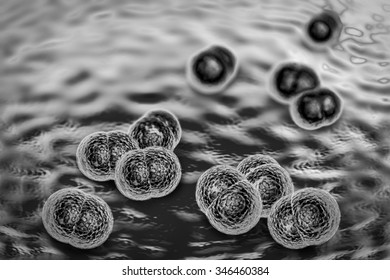 918 Meningococcal Disease Images, Stock Photos & Vectors | Shutterstock