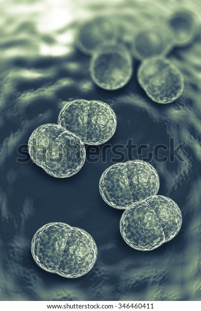 3d Microscope Close Meningitis Bacteria Known Stock Illustration ...