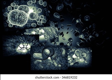 3d Microscope Close Various Bacteria Collage Stock Illustration ...