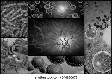 3d Microscope Close Various Bacteria Collage Stock Illustration ...