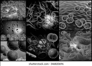 3d Microscope Close Various Bacteria Collage Stock Illustration ...