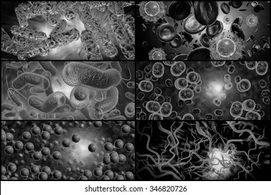 3d Microscope Close Various Bacteria Collage Stock Illustration ...