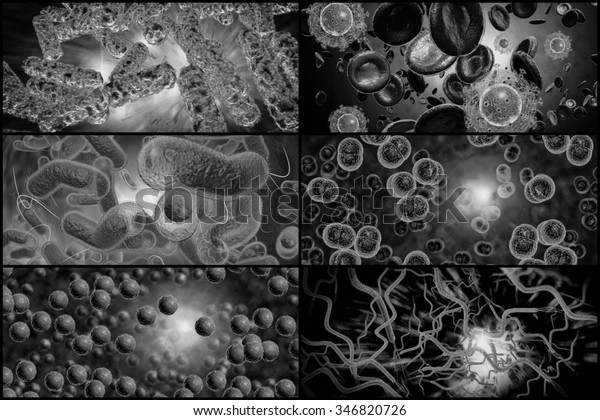 3d Microscope Close Various Bacteria Collage Stock Illustration ...