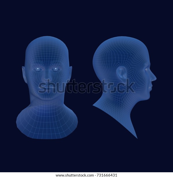 3d Model Human Man Head Wireframe Stock Illustration 731666431 ...