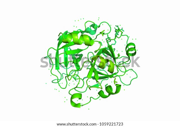 3d Model Protein Molecule Spatial Oriented Stock Illustration 1059221723