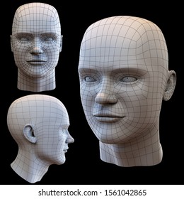 3d Modeling Human Head Stock Illustration 1561042865 | Shutterstock