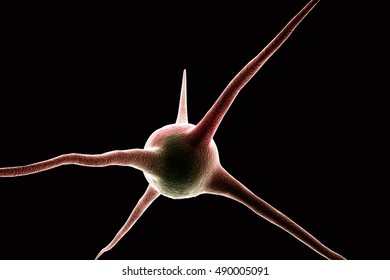 3d Neuron Black Background Stock Illustration 490005091 | Shutterstock