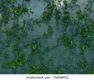3d Render Abstract Swamp Background Texture Stock Illustration ...
