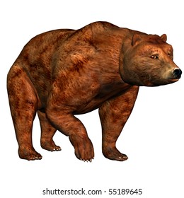3d Render Bear Than Illustration Stock Illustration 55189645 | Shutterstock