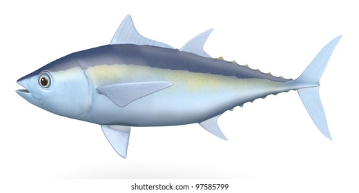 2,562 Tuna fish 3d Images, Stock Photos & Vectors | Shutterstock