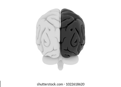 3d Render Brain Back View Right Stock Illustration 1022618620 ...