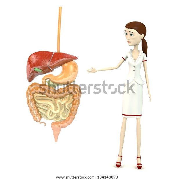 3d Render Cartoon Character Digestive System Stock Illustration ...