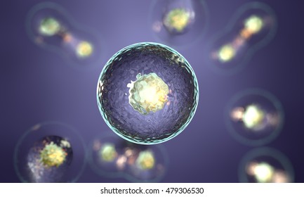 3d Render Cell Division Stock Illustration 479306530 | Shutterstock