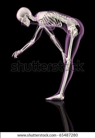 3 D Render Female Skeleton Bending Over Stock Illustration 65487280 ...