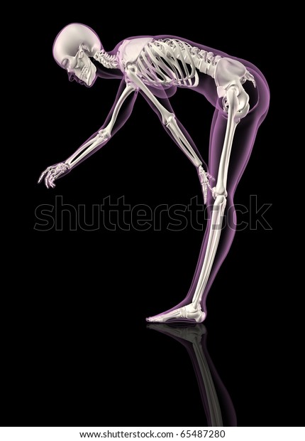 3D render of a female skeleton bending over