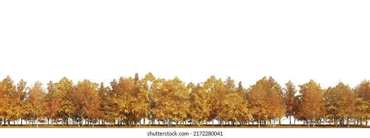 3d Render Forest Line White Background Stock Illustration 2172280041 ...