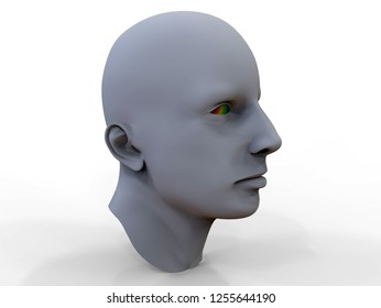 3d Render Generic Human Head Stock Illustration 1255644190 | Shutterstock