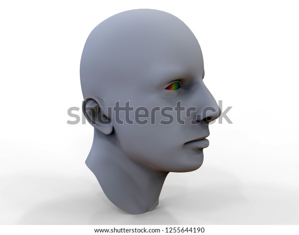 3d Render Generic Human Head Stock Illustration 1255644190 | Shutterstock