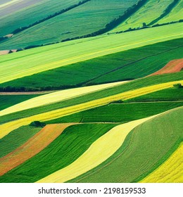 3d Render Green Fields Various Shades Stock Illustration 2198159533 ...