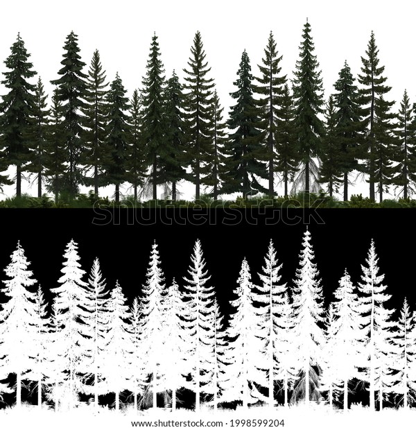 3d Render Horizon Pine Trees 4k Stock Illustration 1998599204 ...